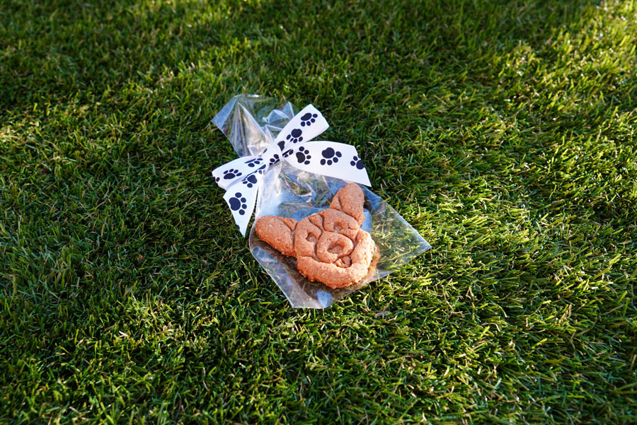 Doggo Head - Corgi - Crazy Grandma Treats.