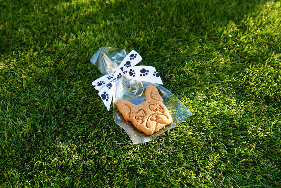 Doggo Head - French Bulldog - Crazy Grandma Treats.